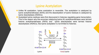 Introduction of Protein Acetylation | PPTX