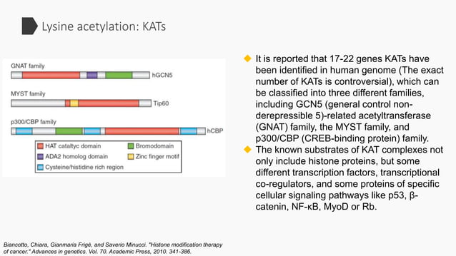 Introduction of Protein Acetylation | PPTX | Chemistry | Science