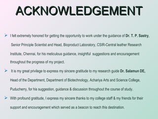 Protein adhesion on bone bioceramics | PPT