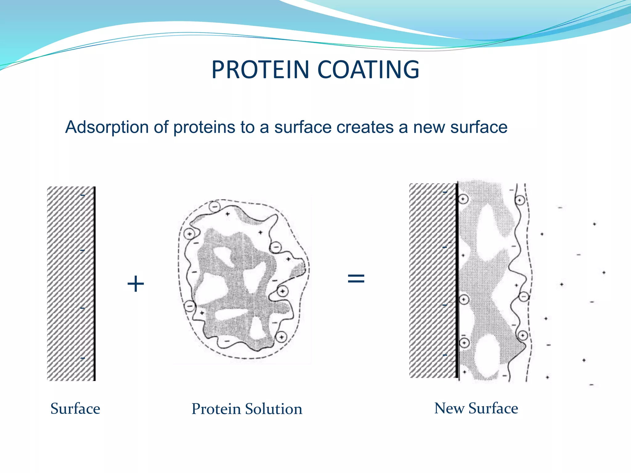Protein adsorption on metal oxides | PPTX