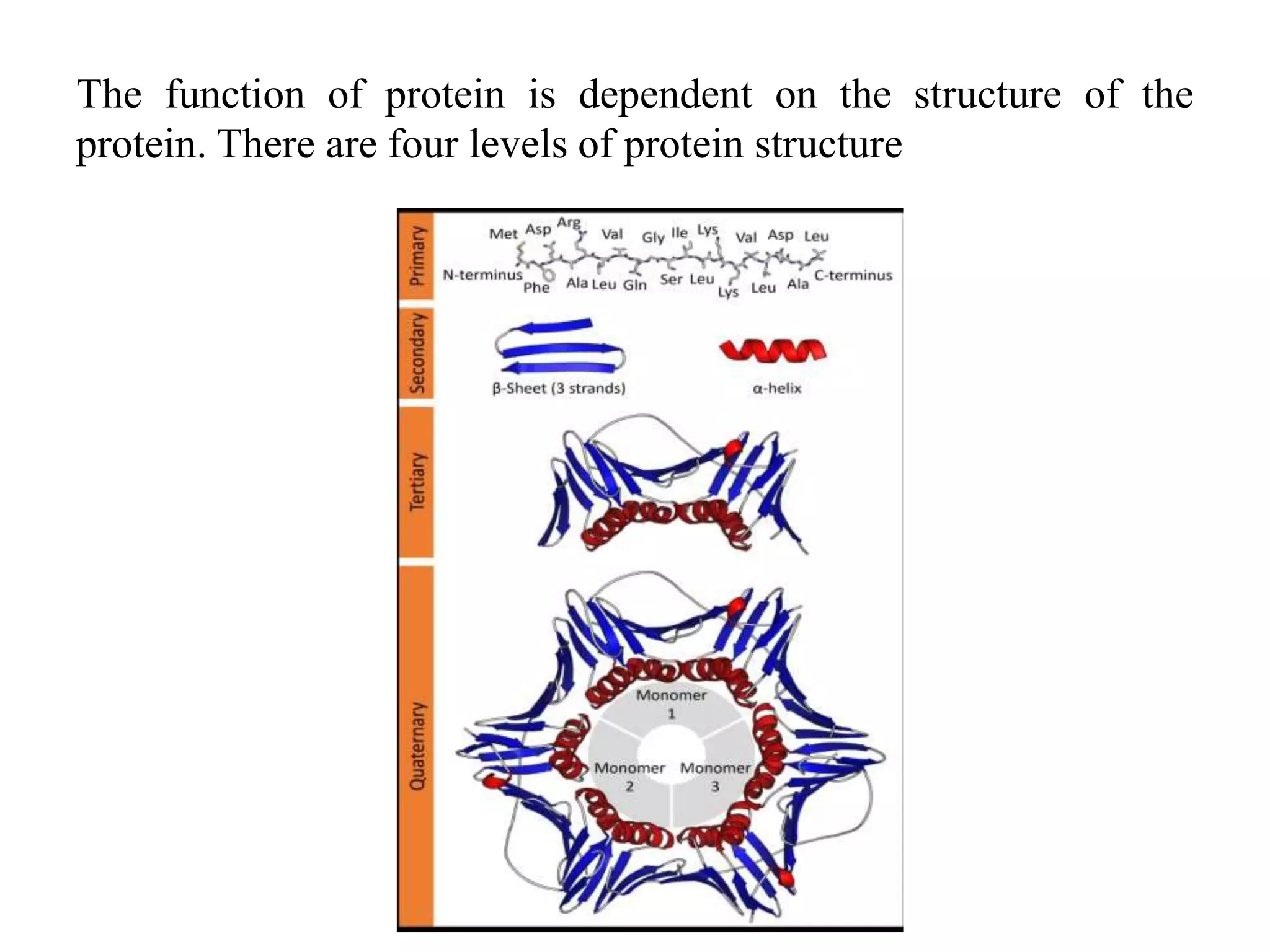 Protein aggregation | PPTX