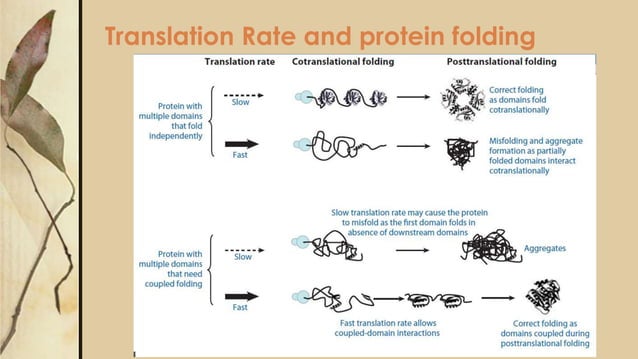 Protein folding and aggregation | PPTX | Chemistry | Science