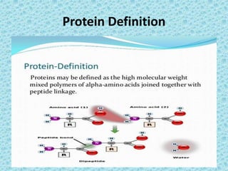 Protein analysis | PPTX