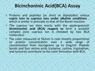 Protein analysis | PPTX | Chemistry | Science