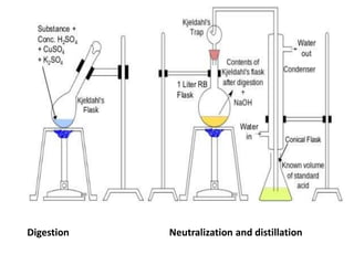Protein analysis | PPTX