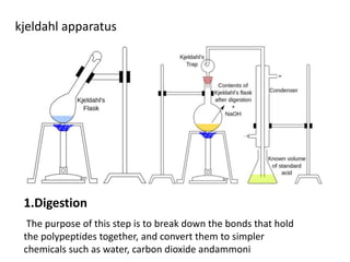 General method use for analysis of protein | PPTX