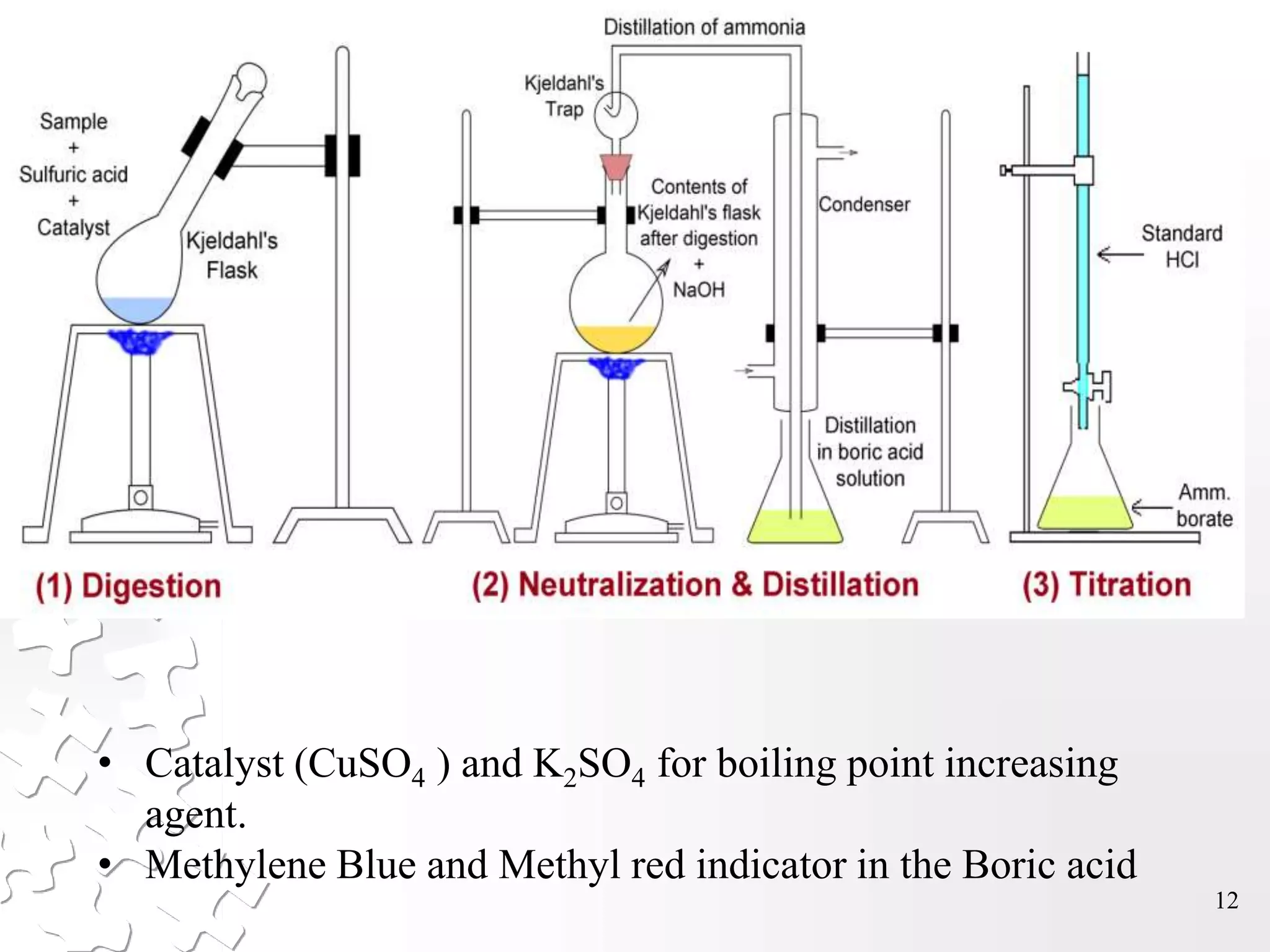 Protein Analysis Methods.pptx
