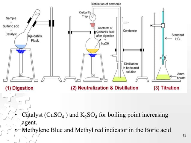 Protein Analysis Methods.pptx | Chemistry | Science