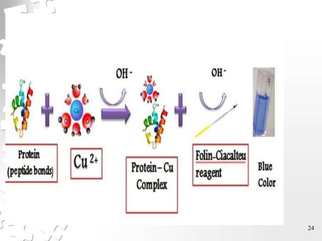 Protein Analysis Methods.pptx | Chemistry | Science
