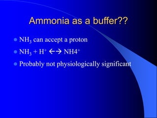 Protein and Amino Acid Metabolism.ppt