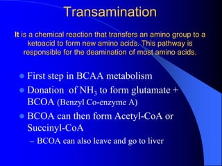 Protein and amino acid metabolism | PPTX