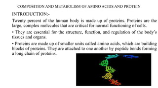 PROTEIN AND AMINO ACIDS-CLASS-I.pptx