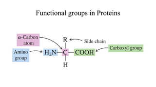 PROTEIN AND AMINO ACIDS-CLASS-I.pptx