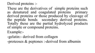 PROTEIN AND AMINO ACIDS-CLASS-I.pptx