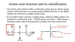 PROTEIN AND AMINO ACIDS-CLASS-I.pptx