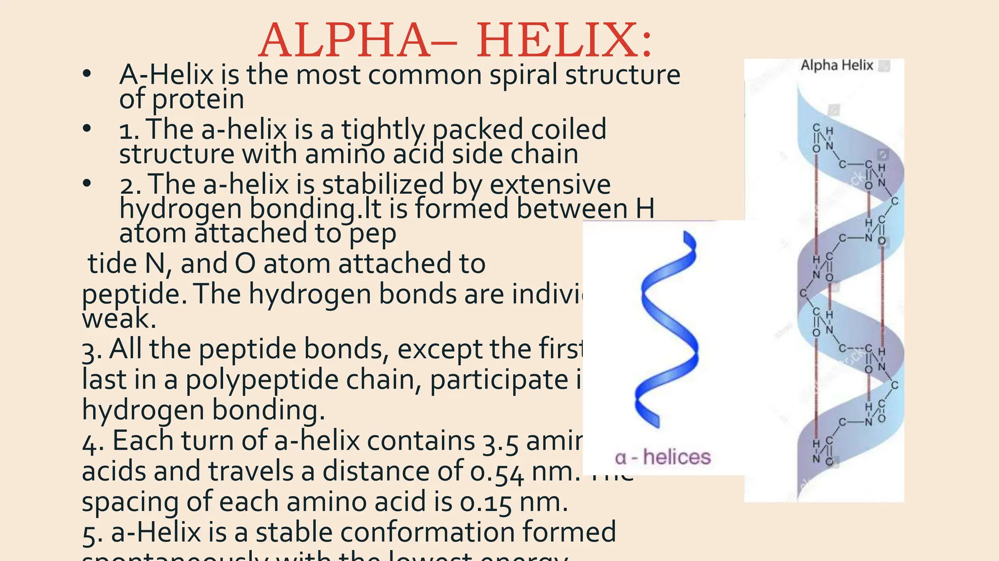 protein and amino acids with classification.pptx