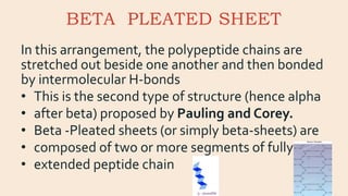 protein and amino acids with classification.pptx