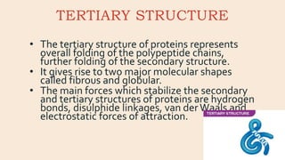protein and amino acids with classification.pptx