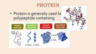 protein and amino acids with classification.pptx