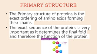 protein and amino acids with classification.pptx