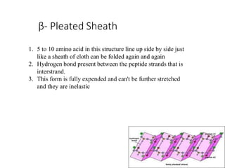 Protein and its classification | PPT