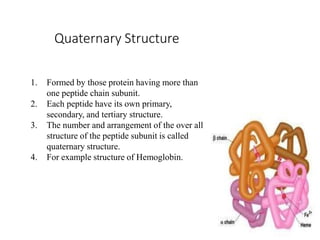 Protein and its classification | PPT