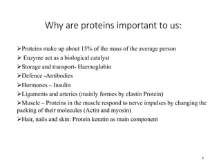 Protein and its classification | PPT