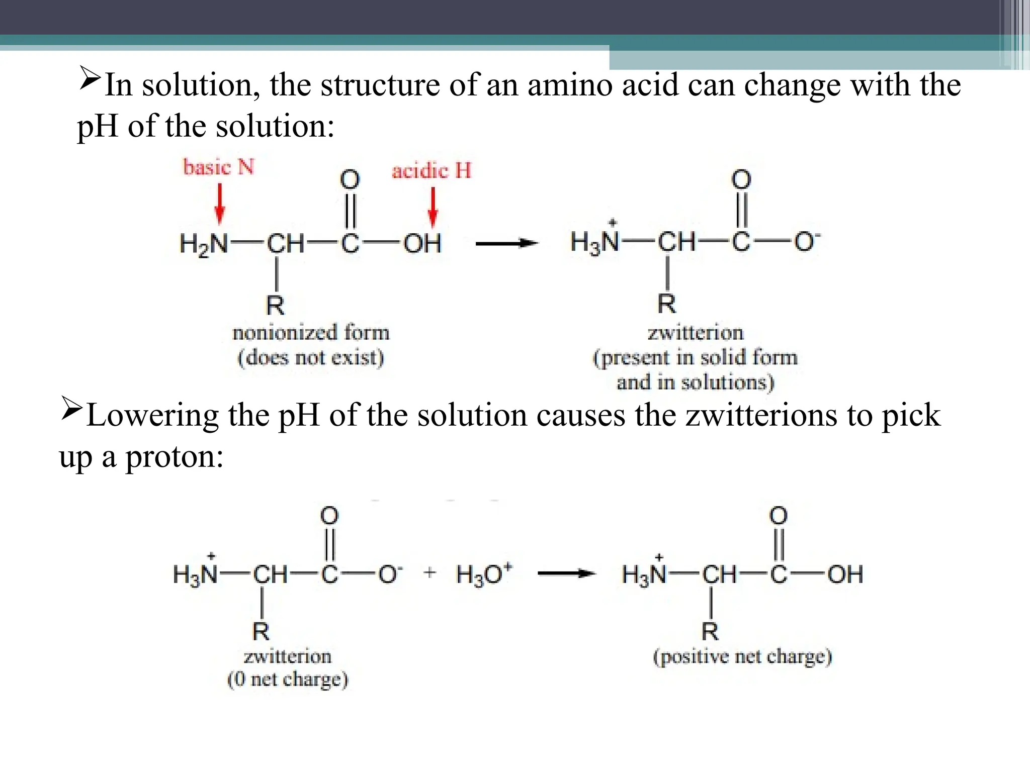 Protein-Structure and its classification | PPT