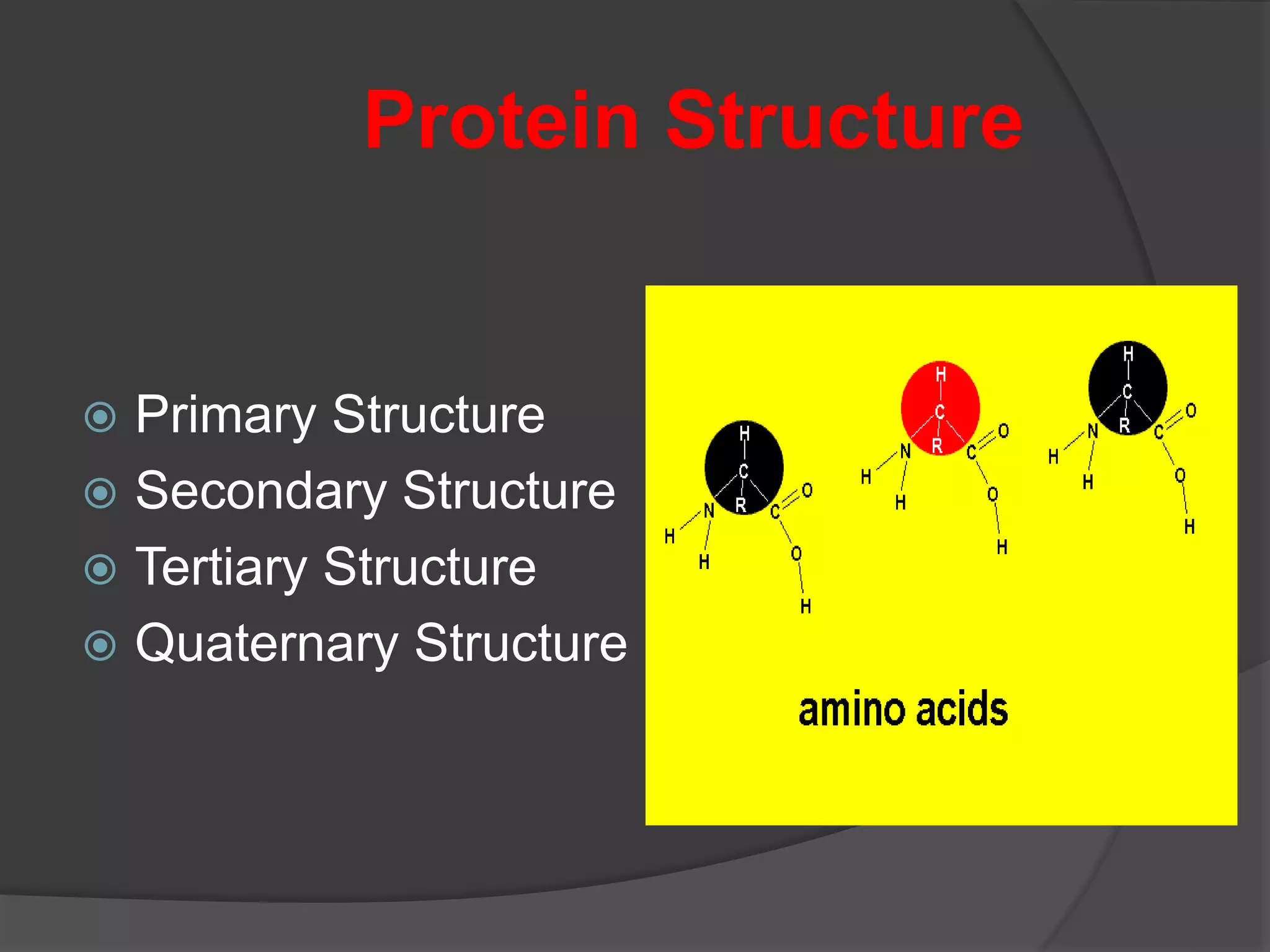 Protein and its structure and function | PPT | Free Download