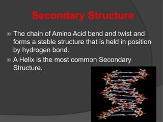 Protein and its structure and function | PPTX