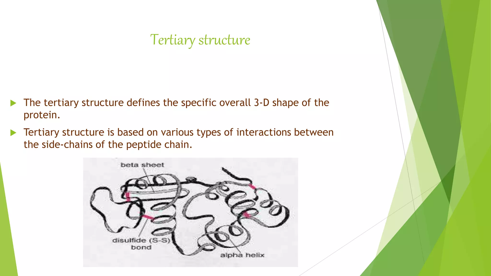 Protein and it's structure and functions | PPTX
