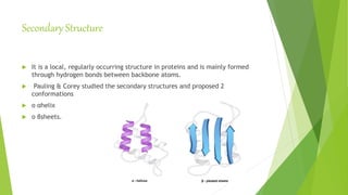 Protein and it's structure and functions | PPT