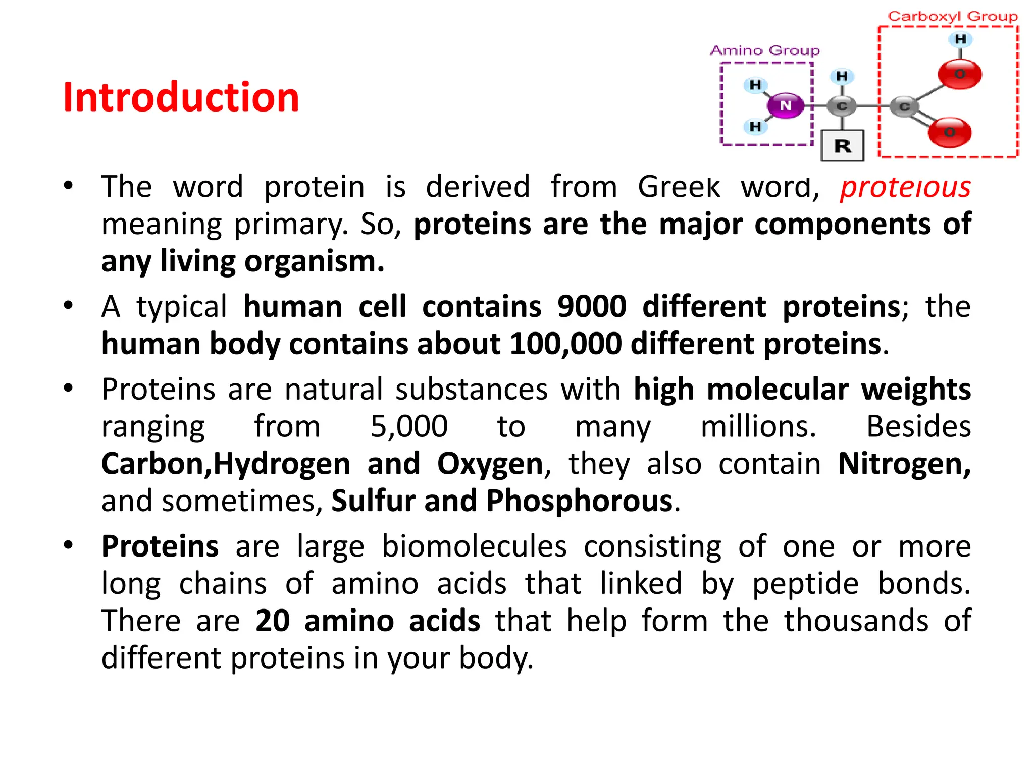 Protein and Nucleic acid general introduction | PPT
