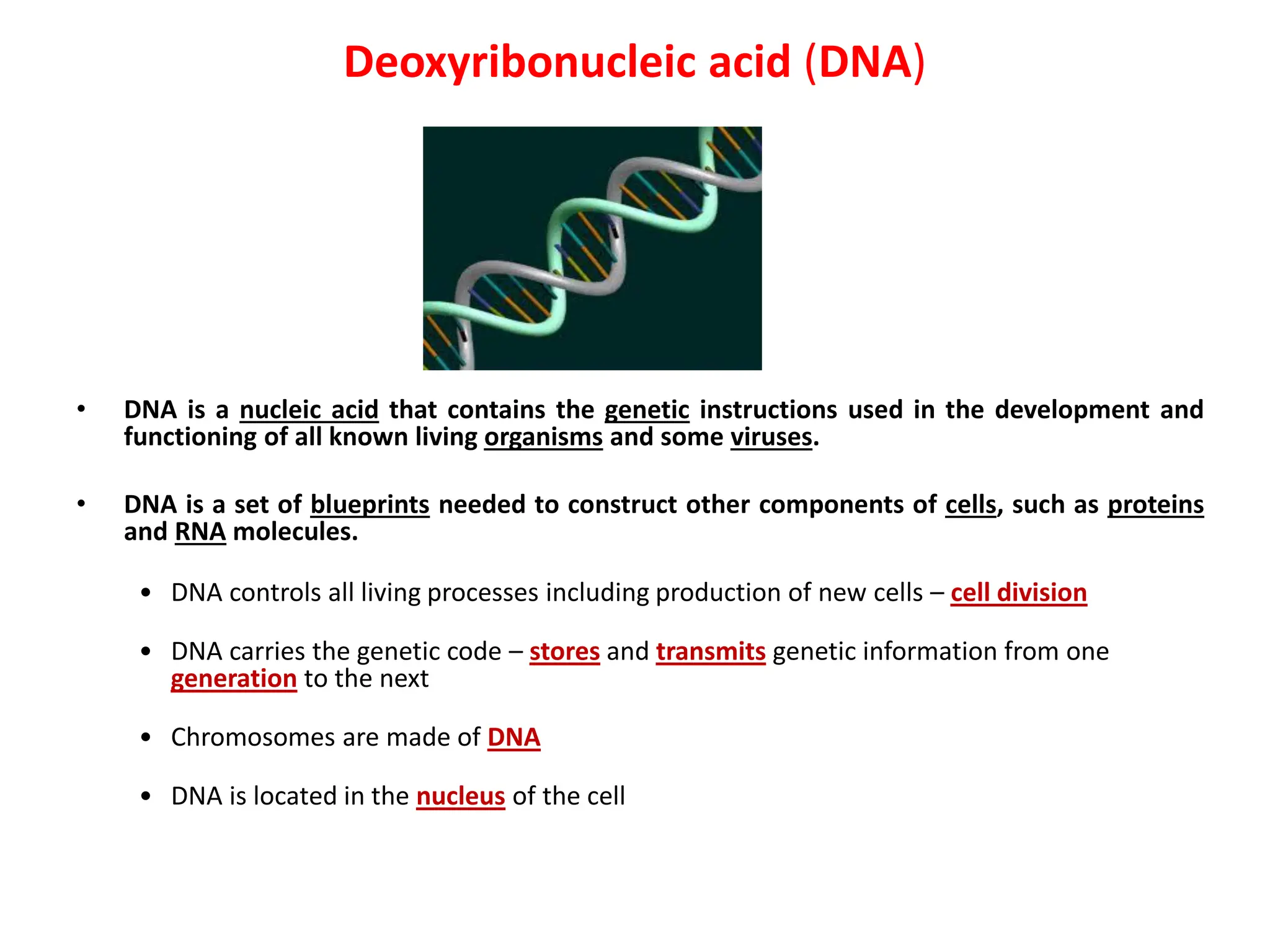 Protein and Nucleic acid general introduction | PPT
