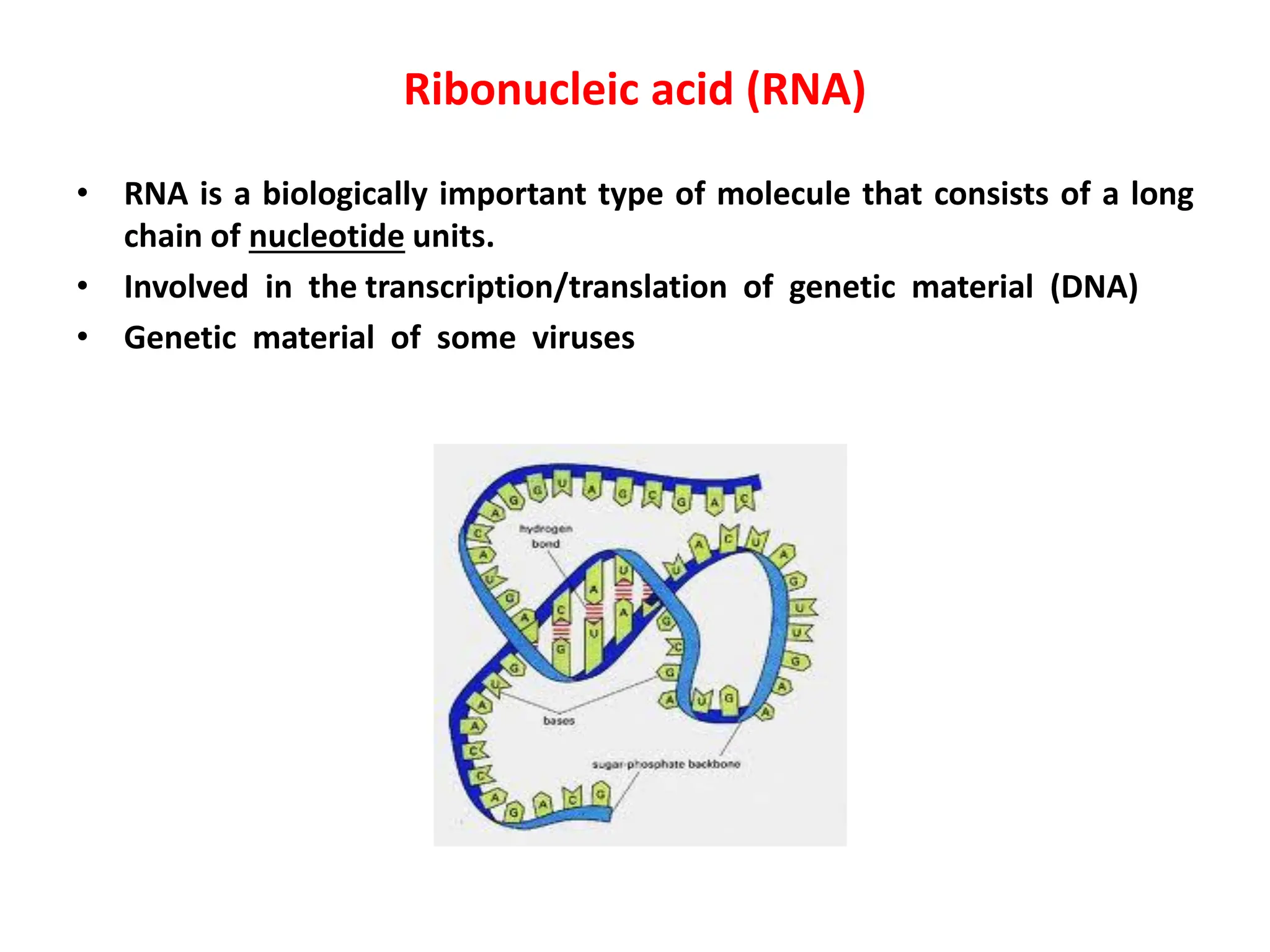 Protein and Nucleic acid general introduction | PPT