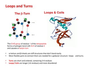 Protein and Nucleic acid general introduction | PPT