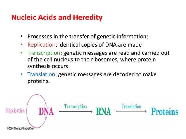 Protein and Nucleic acid general introduction | PPT