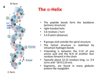 Protein and Nucleic acid general introduction | PDF