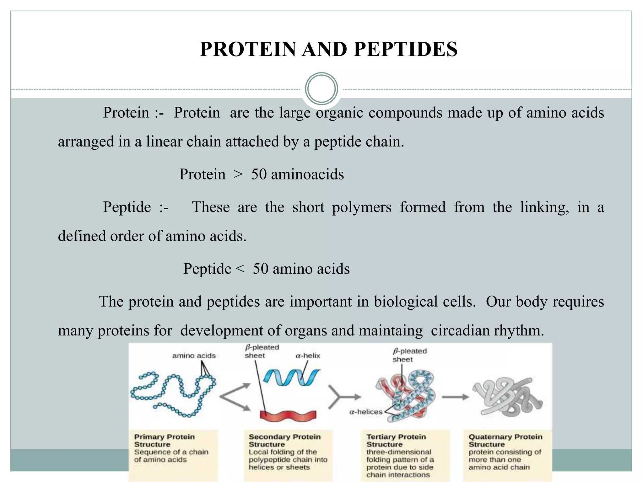 PHARMACOKINETICS AND PHARMACODYNAMICS OF BIOTECHNOLOGY DRUGS ...