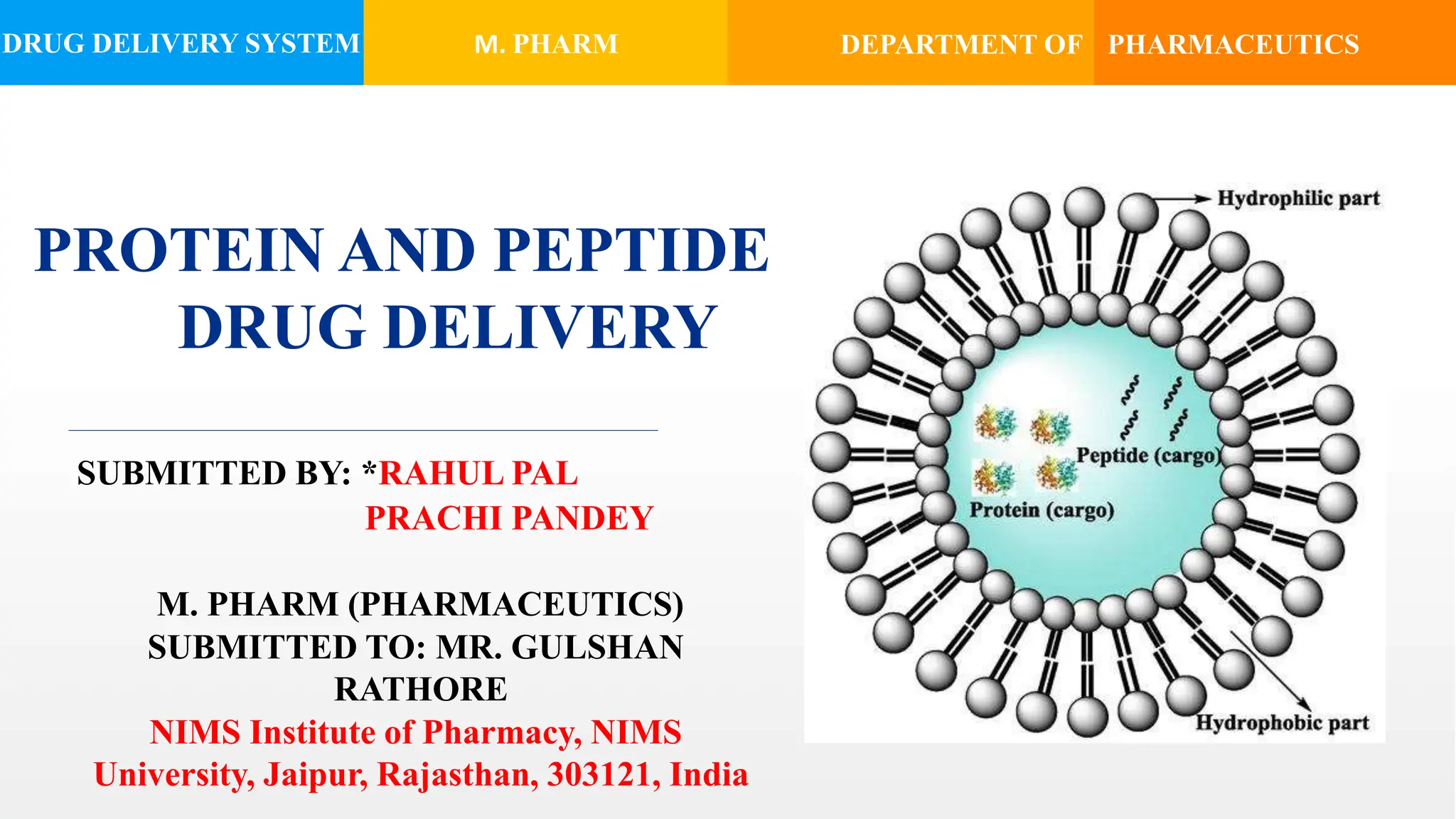 Protein and Peptide.pptx