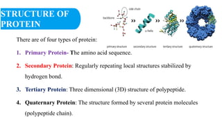 Protein and Peptide.pptx