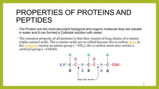 protein and peptide dds.pptx