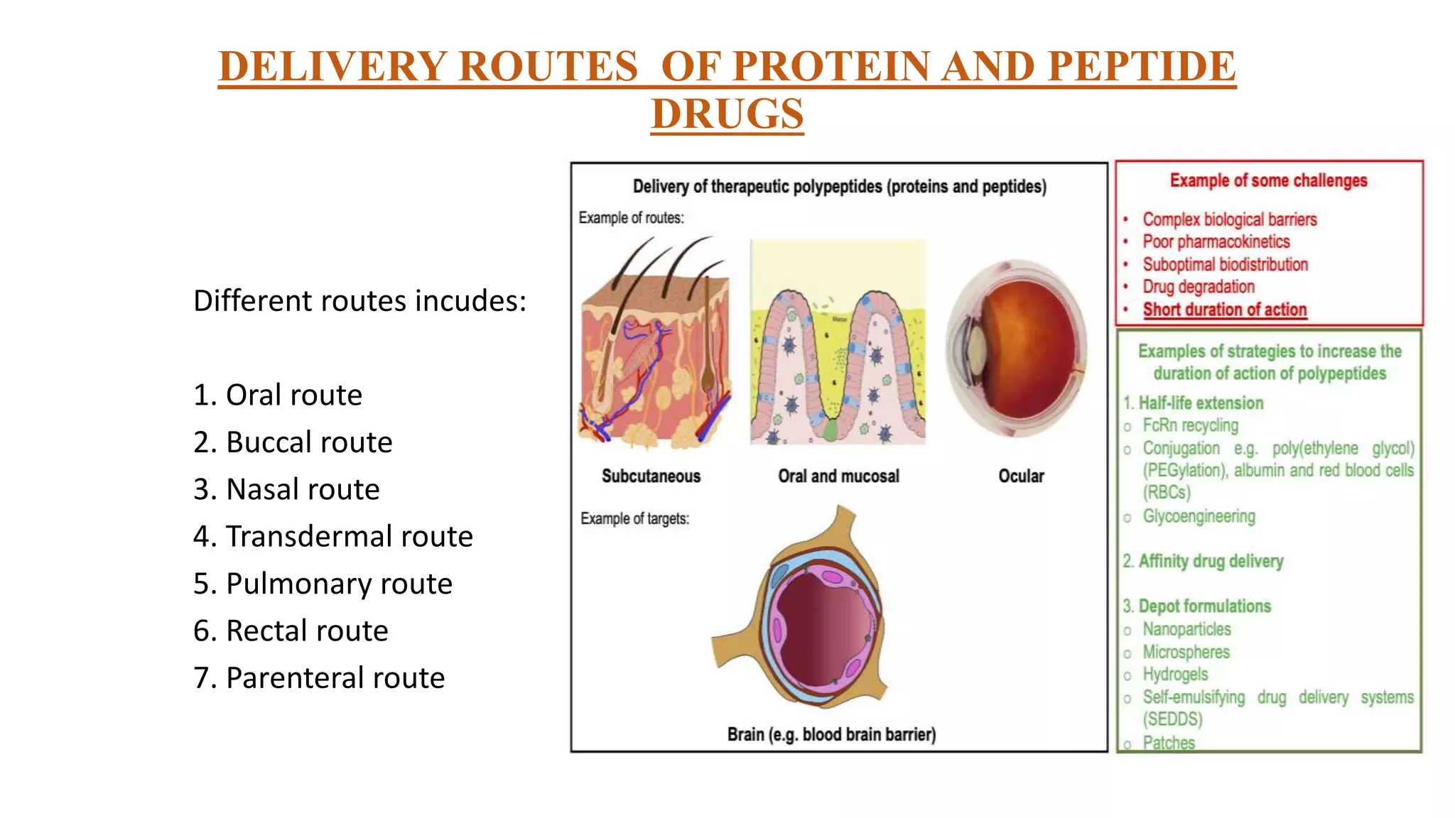 Barriers to Protein and peptide drug delivery system | PPTX