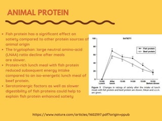 Protein and satiety | PPT