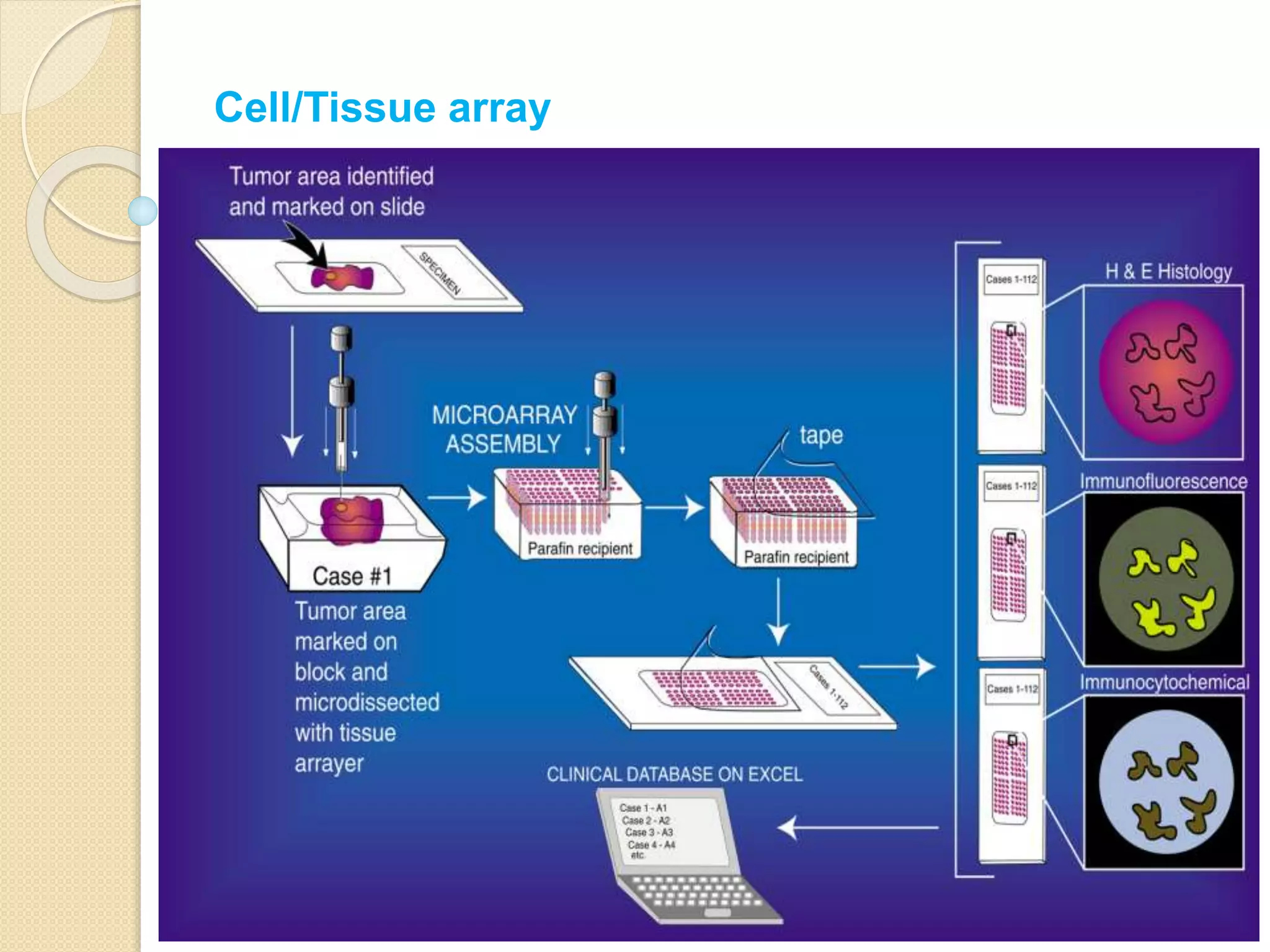 Protein array, protein chip by kk sahu sir | PPTX | Genetics | Science