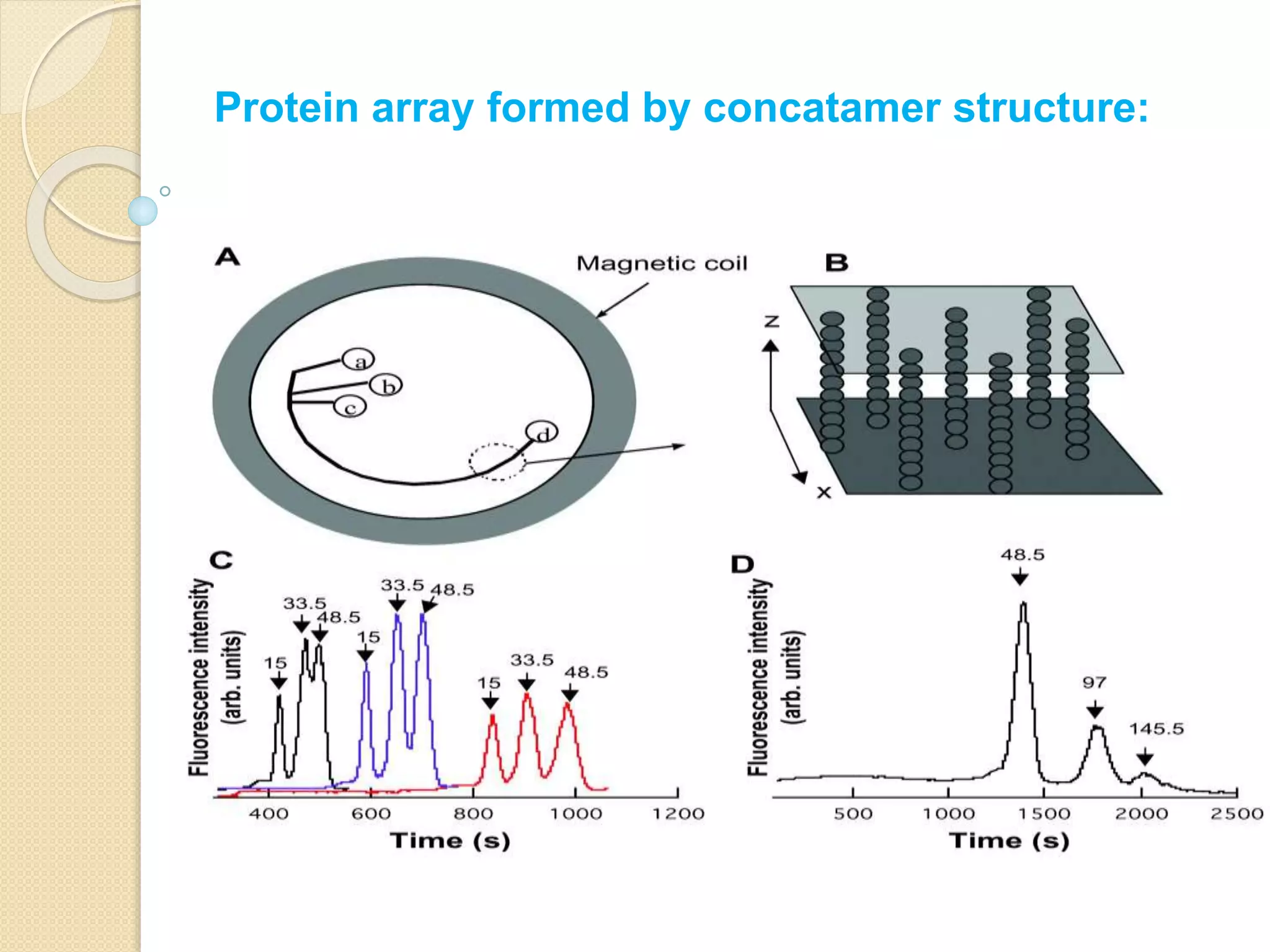 Protein array, protein chip by kk sahu sir | PPTX | Genetics | Science