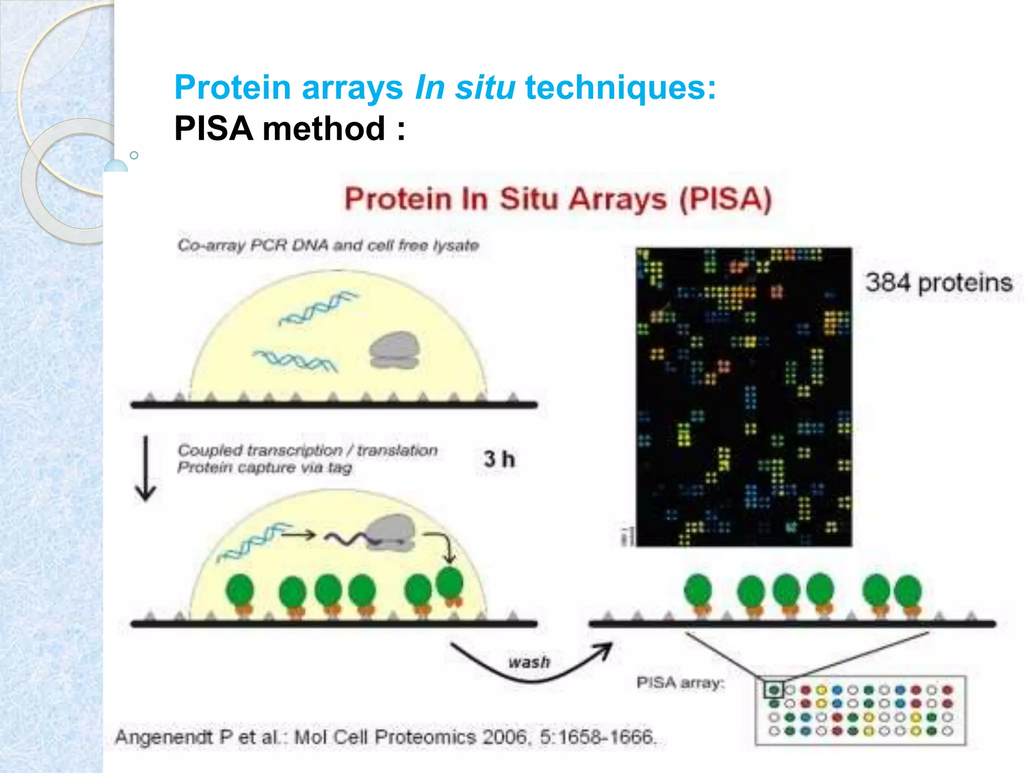 Protein array, protein chip by kk sahu sir | PPTX | Genetics | Science