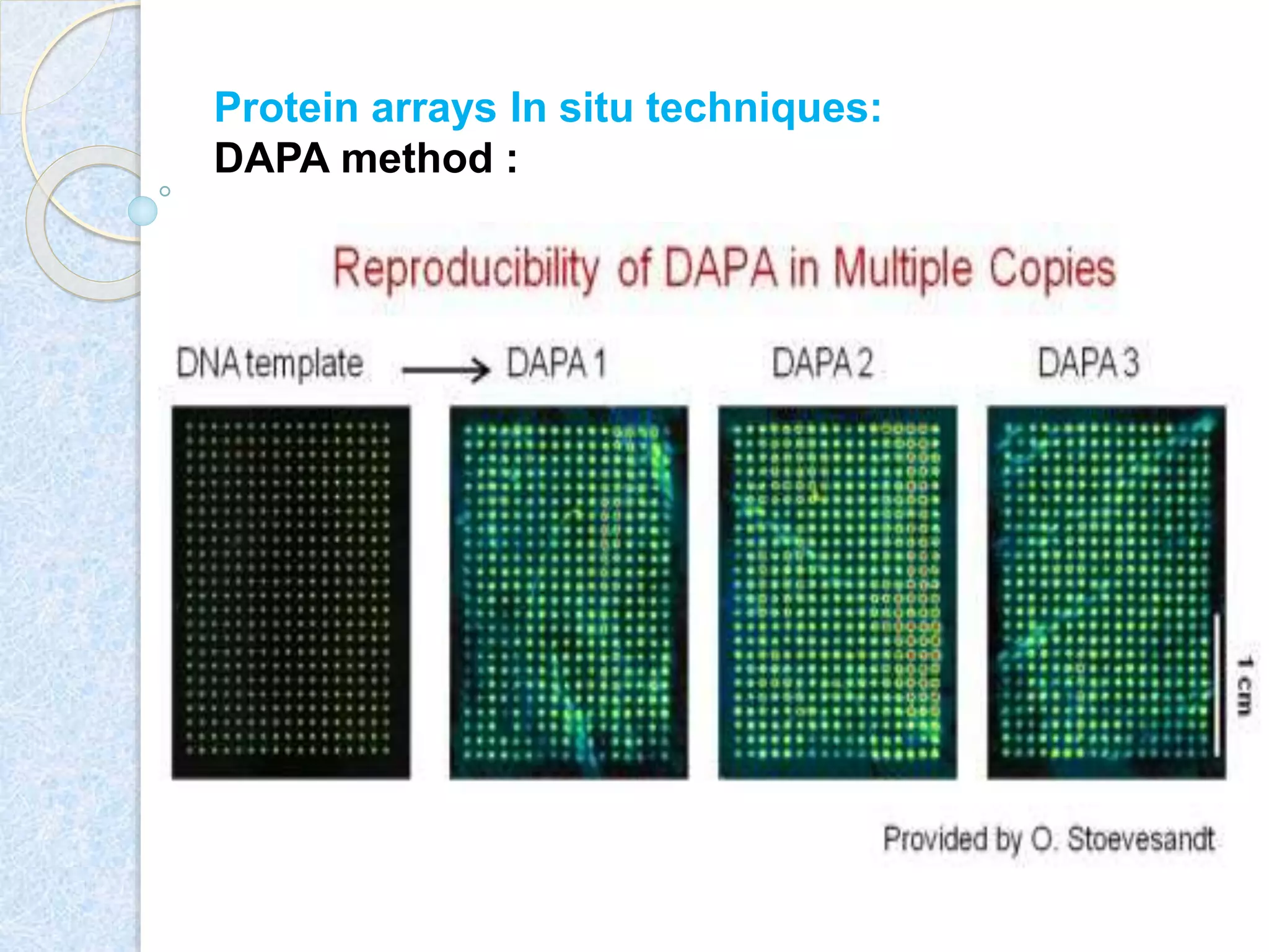 Protein array, protein chip by kk sahu sir | PPTX | Genetics | Science