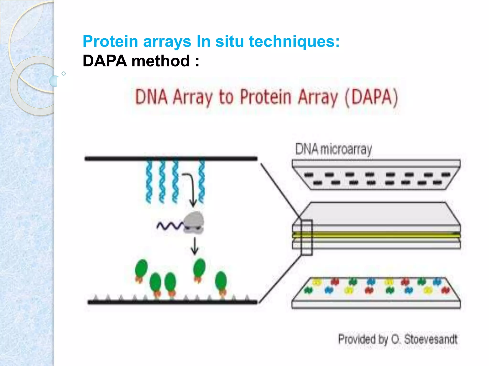 Protein array, protein chip by kk sahu sir | PPTX | Genetics | Science