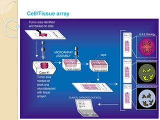 Protein array, protein chip by kk sahu sir | PPTX